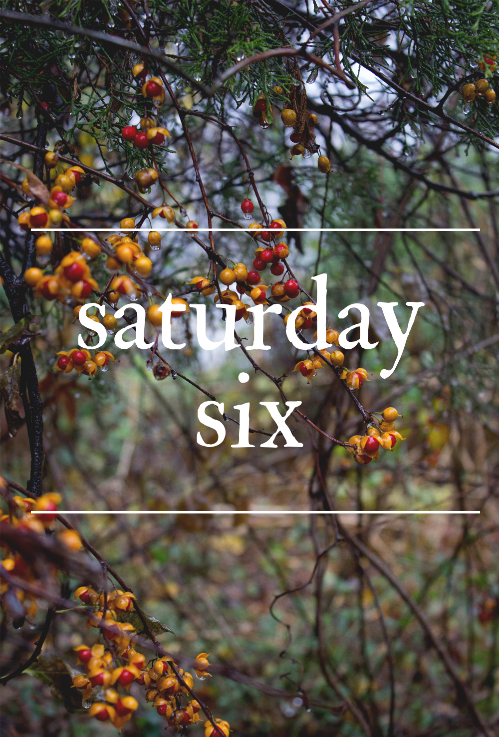 SB Saturday Six