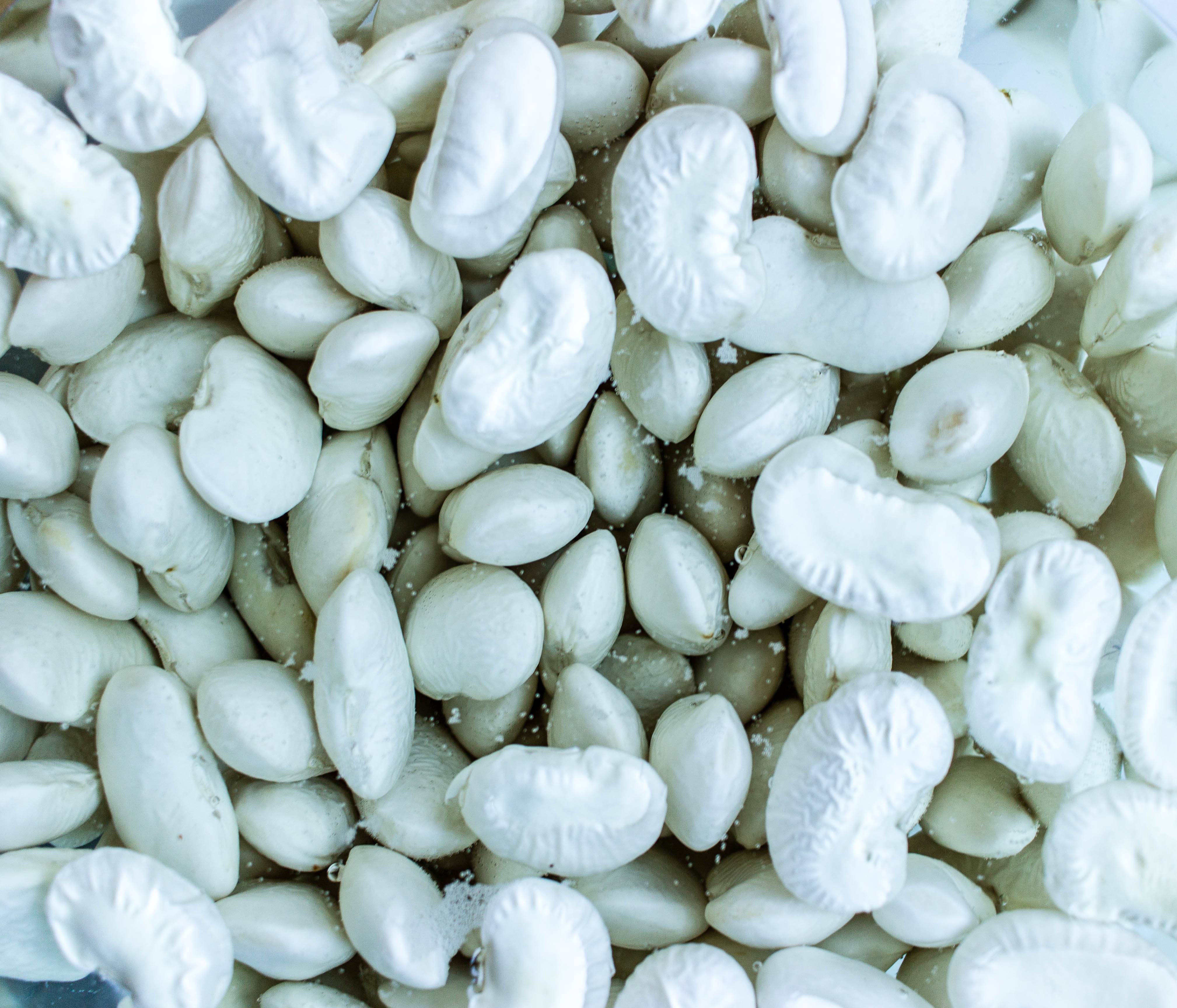 Royal Corona Beans Two Ways